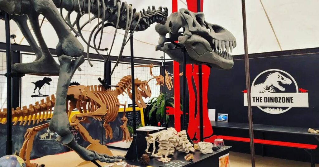 About – The DinoZone